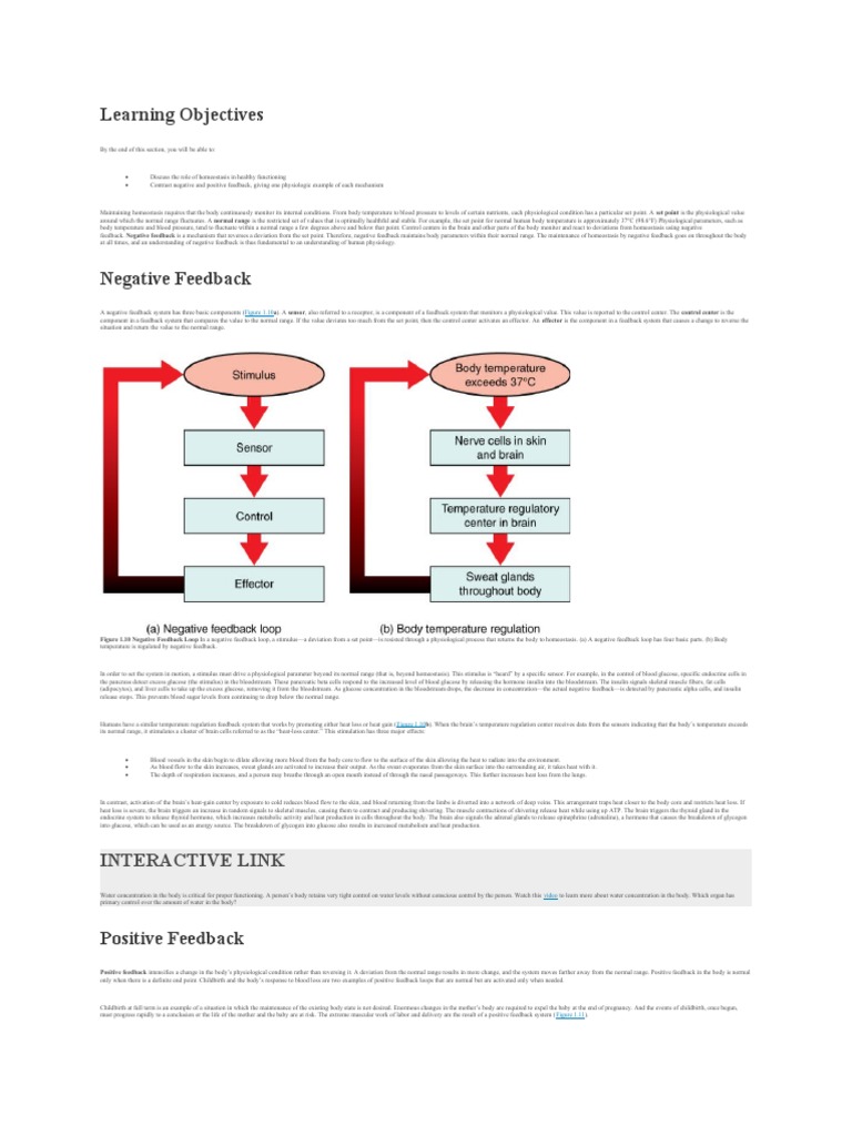 Learning Objectives: Interactive Link | Download Free PDF | Negative ...