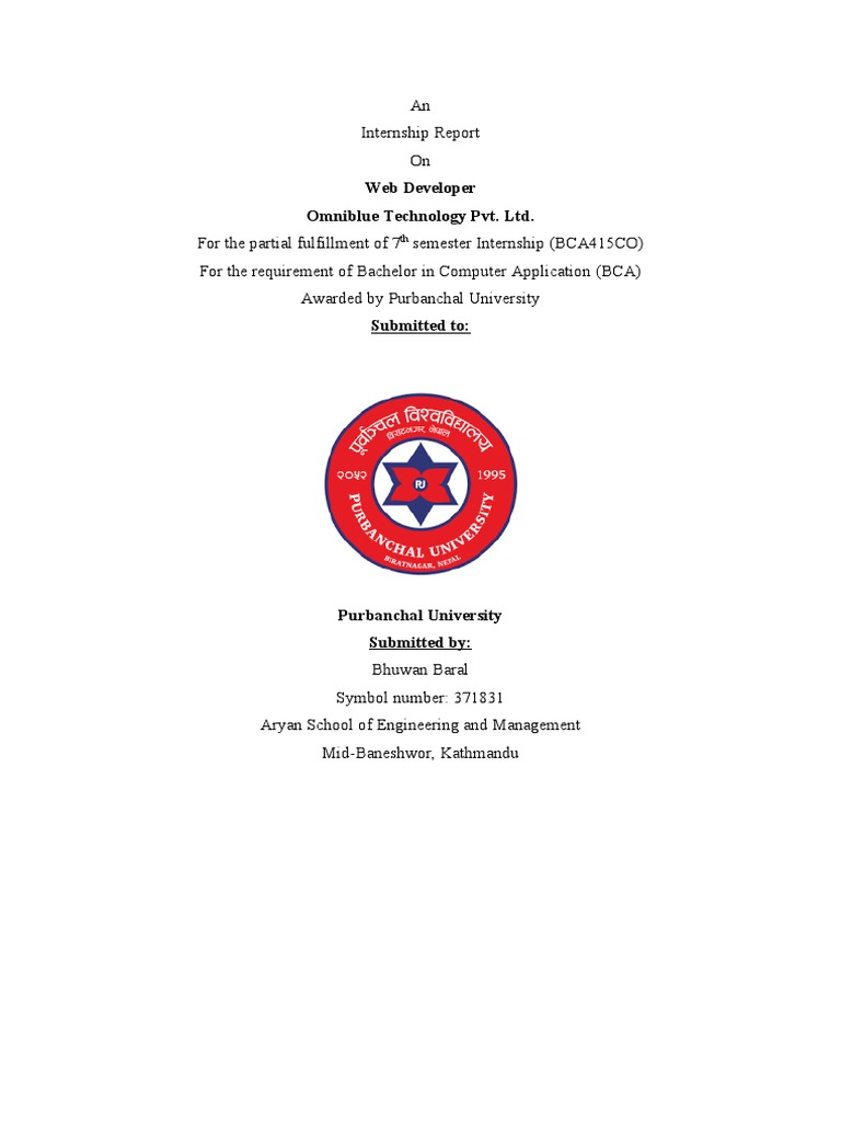 Internship Report | PDF