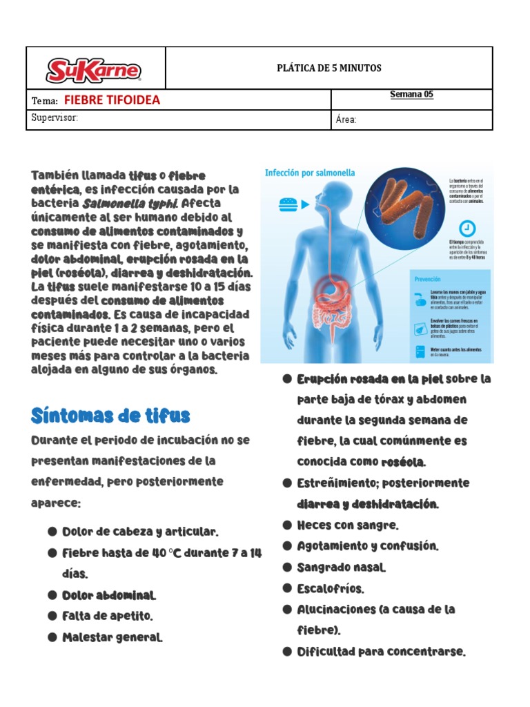 Platica de 5 Minutos Semana 05 SM | PDF | Salmonela | Diarrea