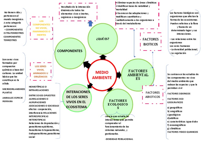 Mapita | PDF | Organismos | Entorno natural