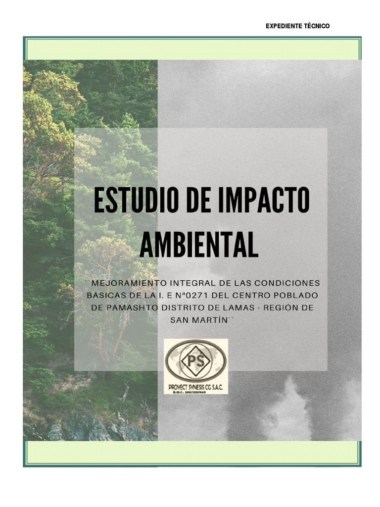Esquema Eia-Colegio - Pamashto | PDF | La contaminación del aire | Evaluación de impacto ambiental