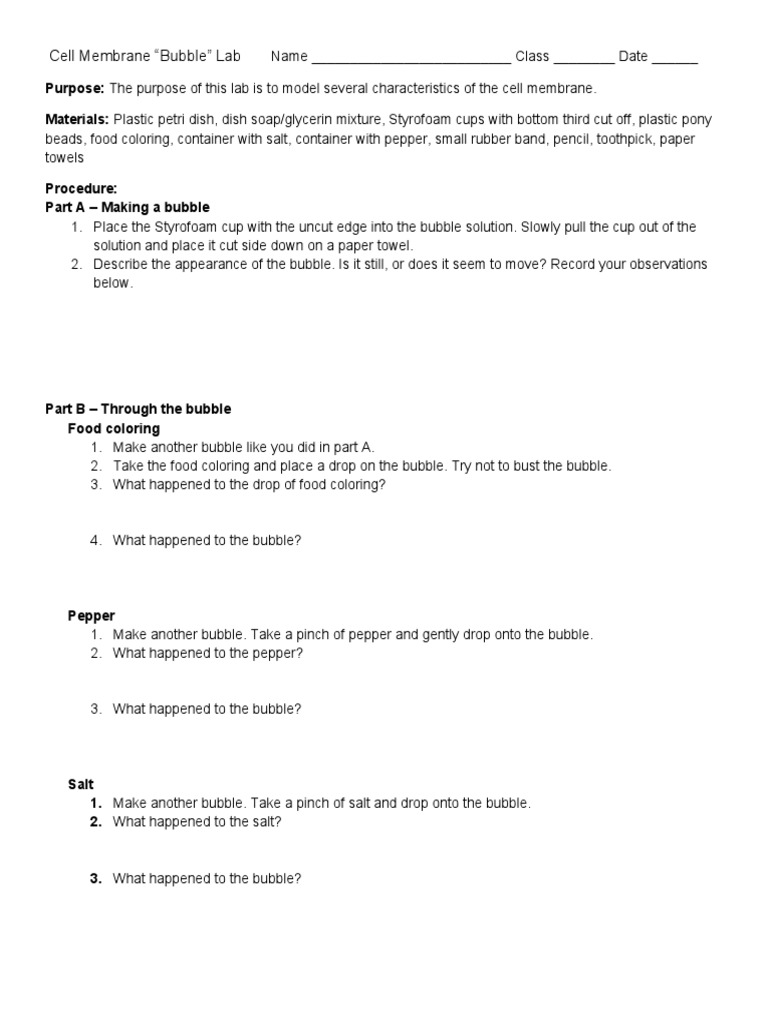 Bubble 'Cell Membrane' Lab - Updated | PDF | Cell Membrane | Lipid Bilayer
