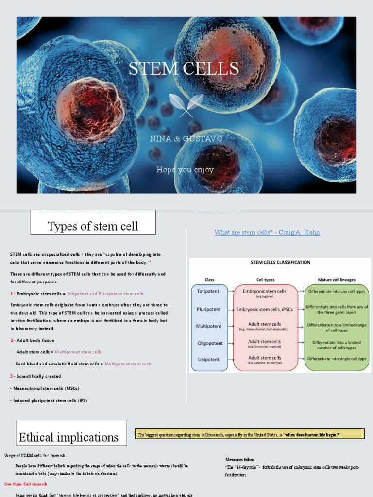 STEM CELL Therapy | PDF | Leukemia | Stem Cell