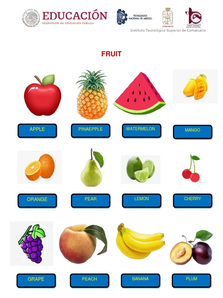 Vocabulary About Fruit, Vegetables and Animals | PDF