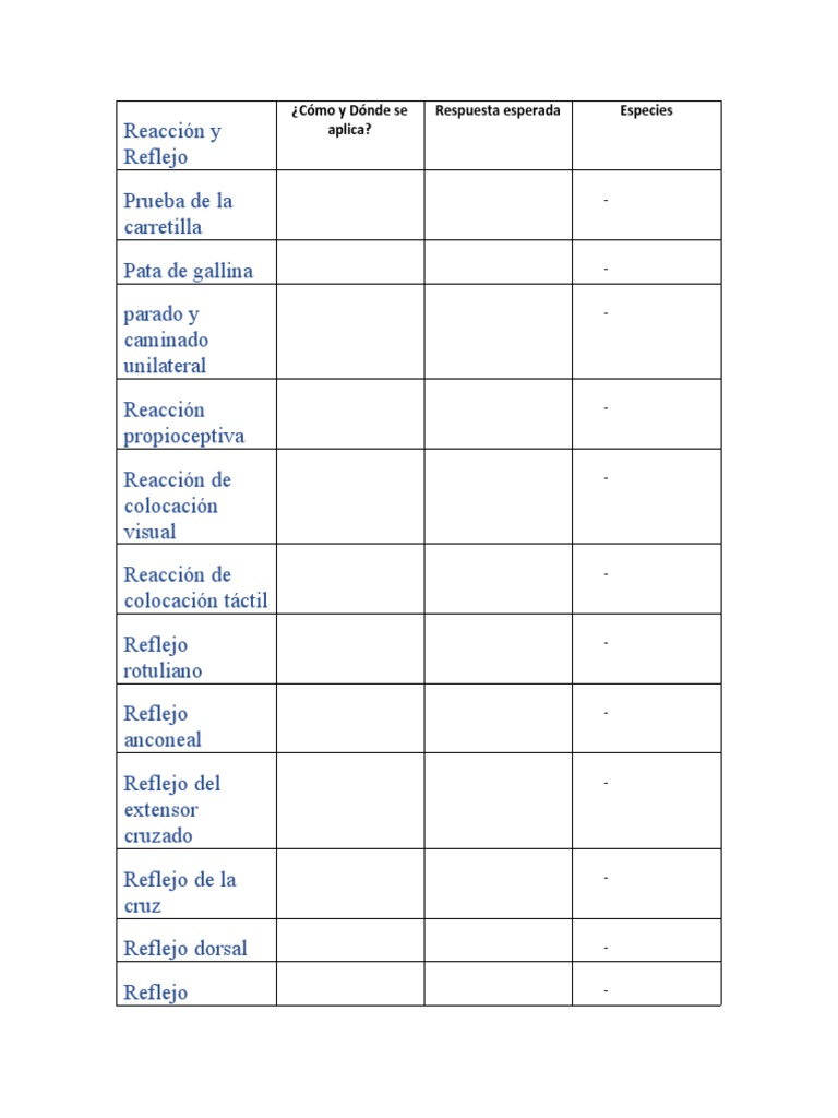 Listado Reflejos Tarea | PDF
