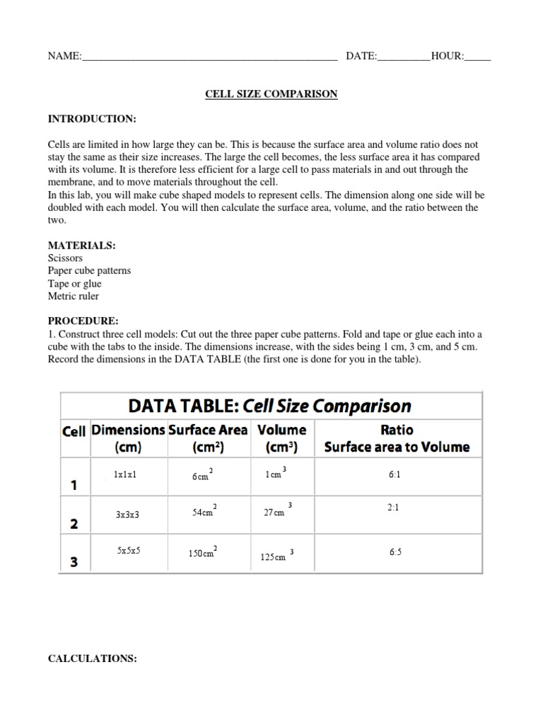 Cell Size Comparison: 1x1x1 6cm 1cm 6:1 | PDF | Surface Area | Area