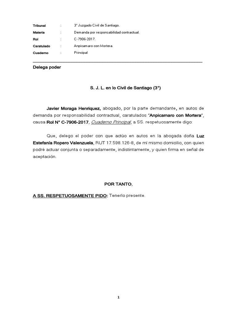 Delega Poder 1era Ins | PDF | Derecho