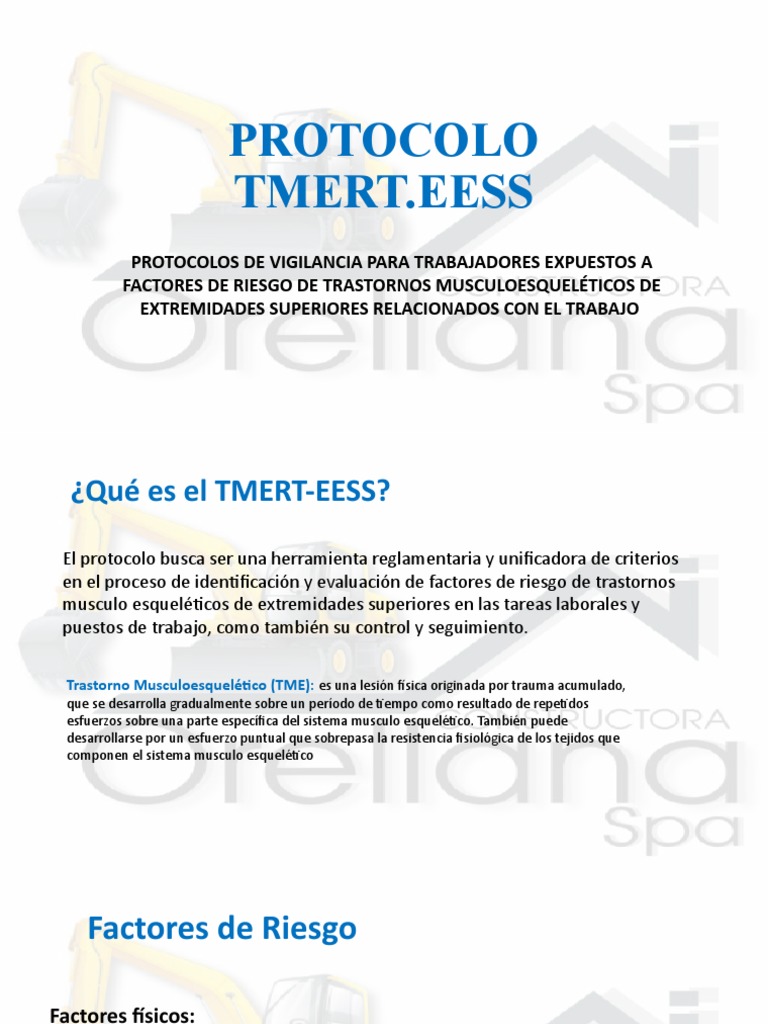 Protocolo Tmert | PDF