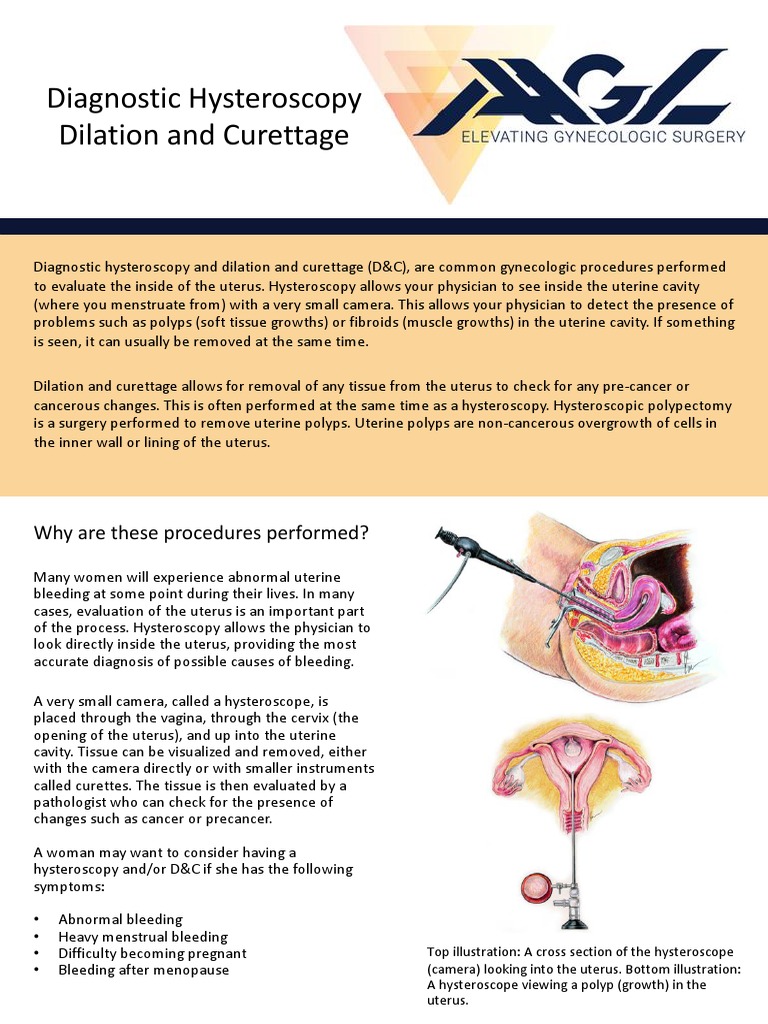 Patient Information Sheets Aagl All | PDF | Uterus | Surgery