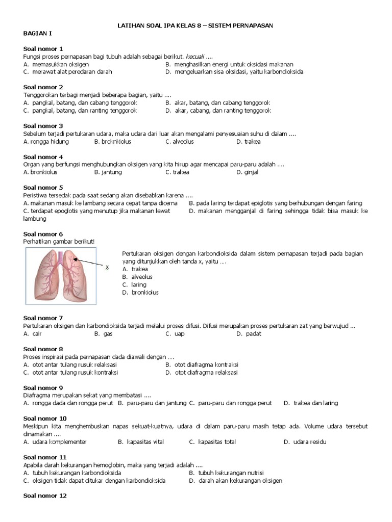 Latihan Soal Ipa Kelas 8 - Sistem Pernapasan | PDF