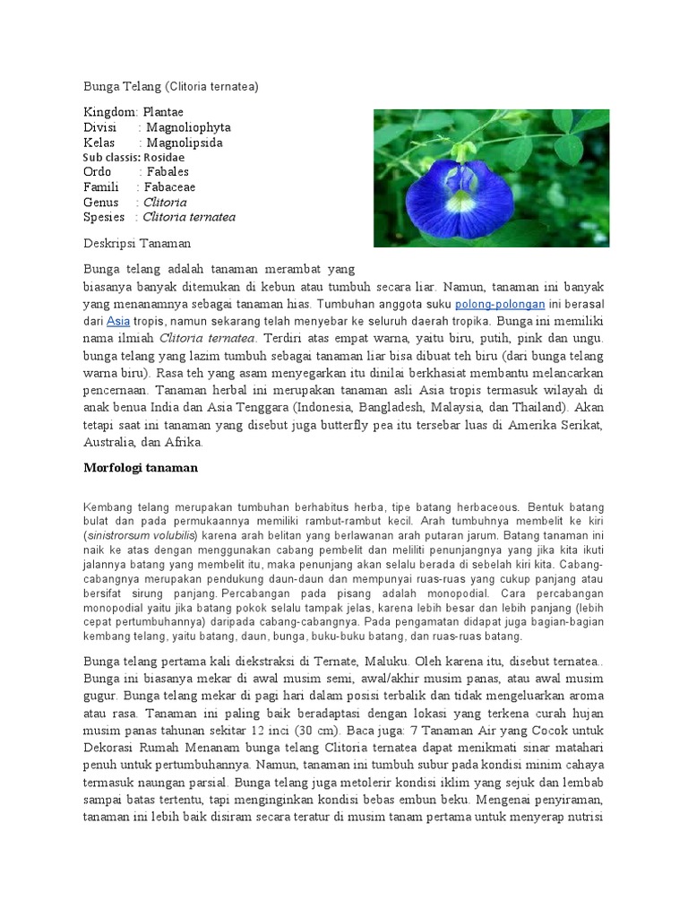 Bunga Telang | PDF