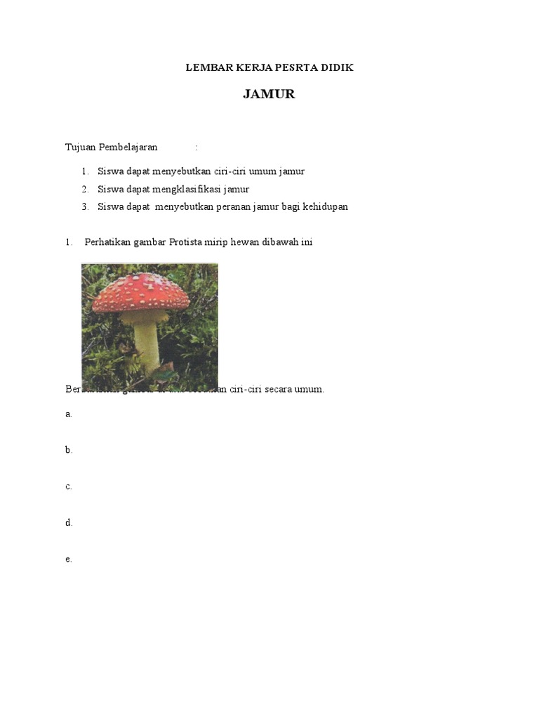 Lembar Kerja Jamur untuk Siswa | PDF | Sains & Matematika