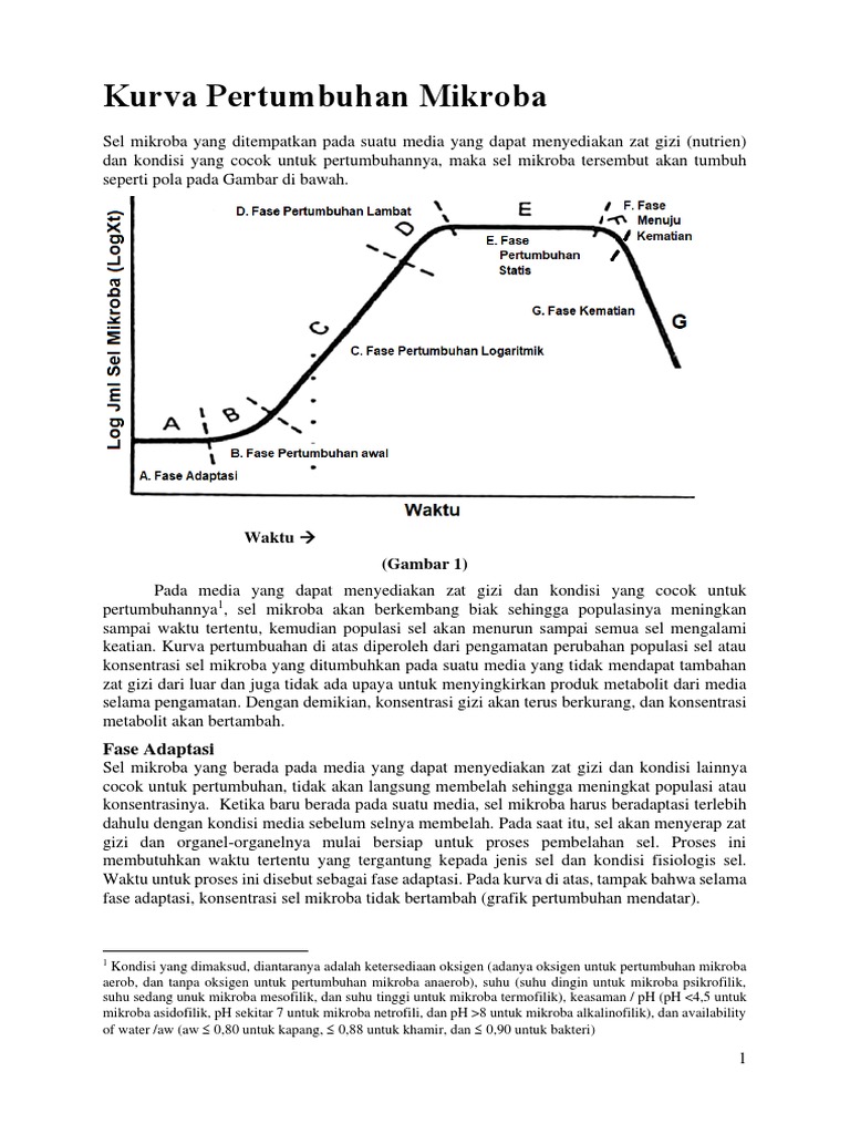 Kurva Pertumbuhan Mikroba | PDF