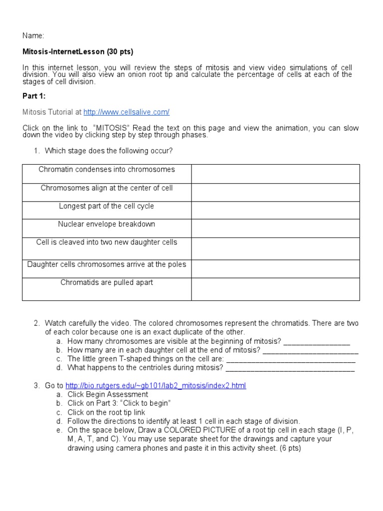 Mitosis Internet Lesson | PDF | Mitosis | Systems Biology