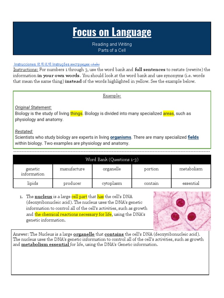 Copy of Focus On Language (Reading and Writing) Parts of A Cell ...