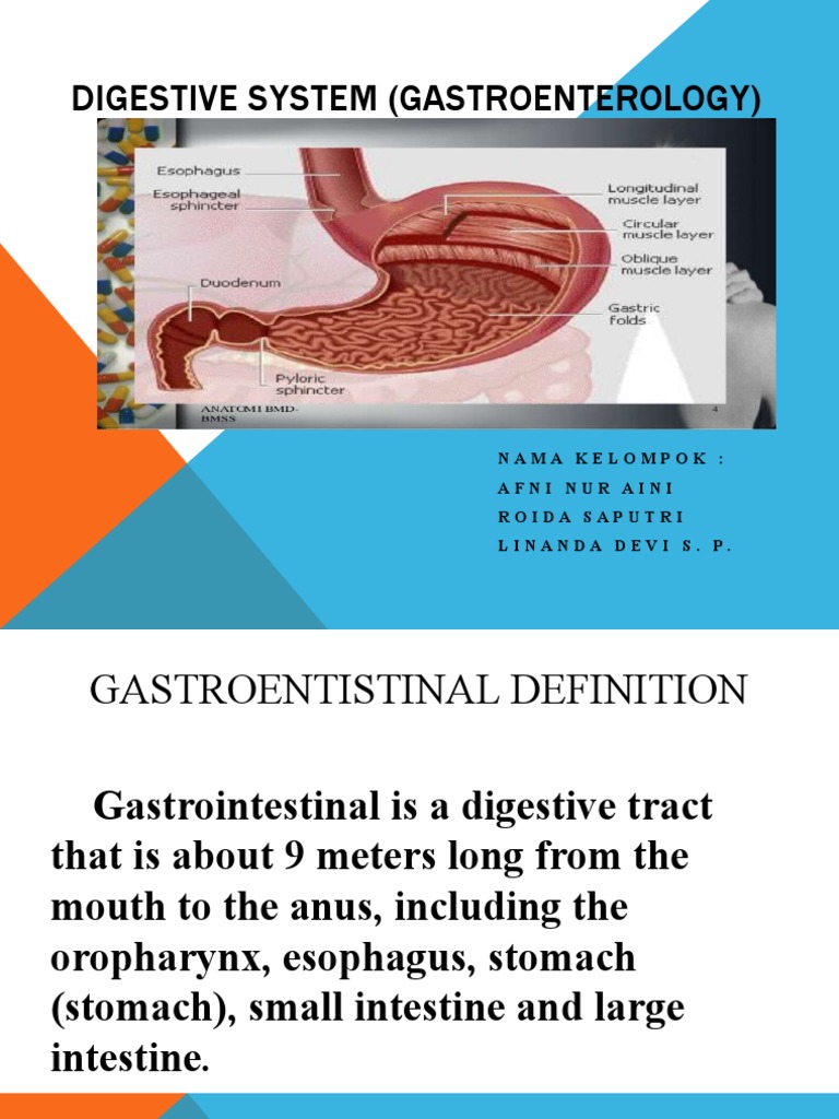 Digestive System (Gastroenterology) | PDF