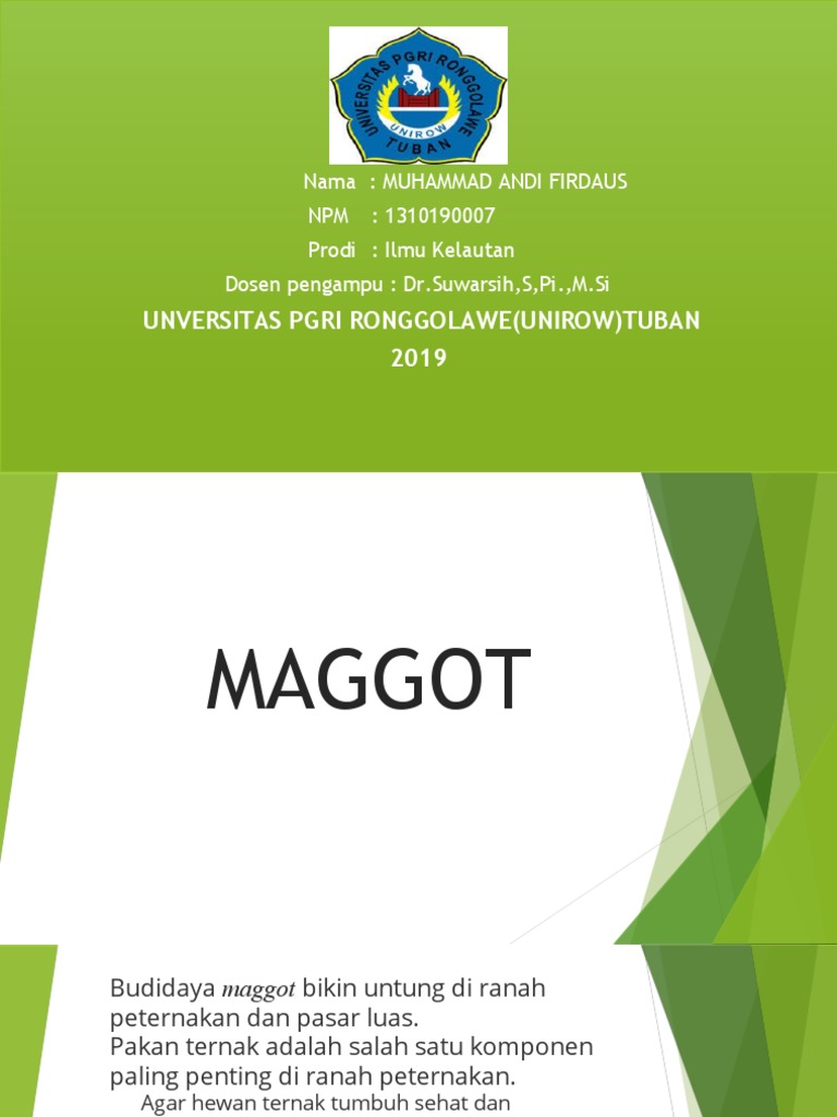 Potensi Bisnis Budidaya Maggot BSF | PDF | Sains & Matematika
