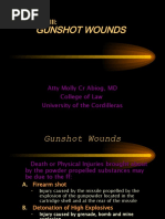 Entrance Wounds | PDF