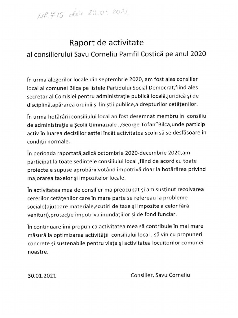 Raport de Activitate Consilier | PDF