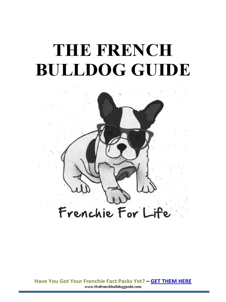 The French Bulldog Guide: Have You Got Your Frenchie Fact Packs Yet ...