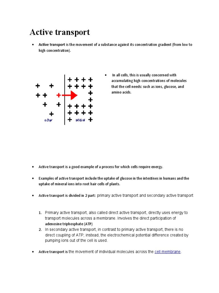 Active Transport | PDF