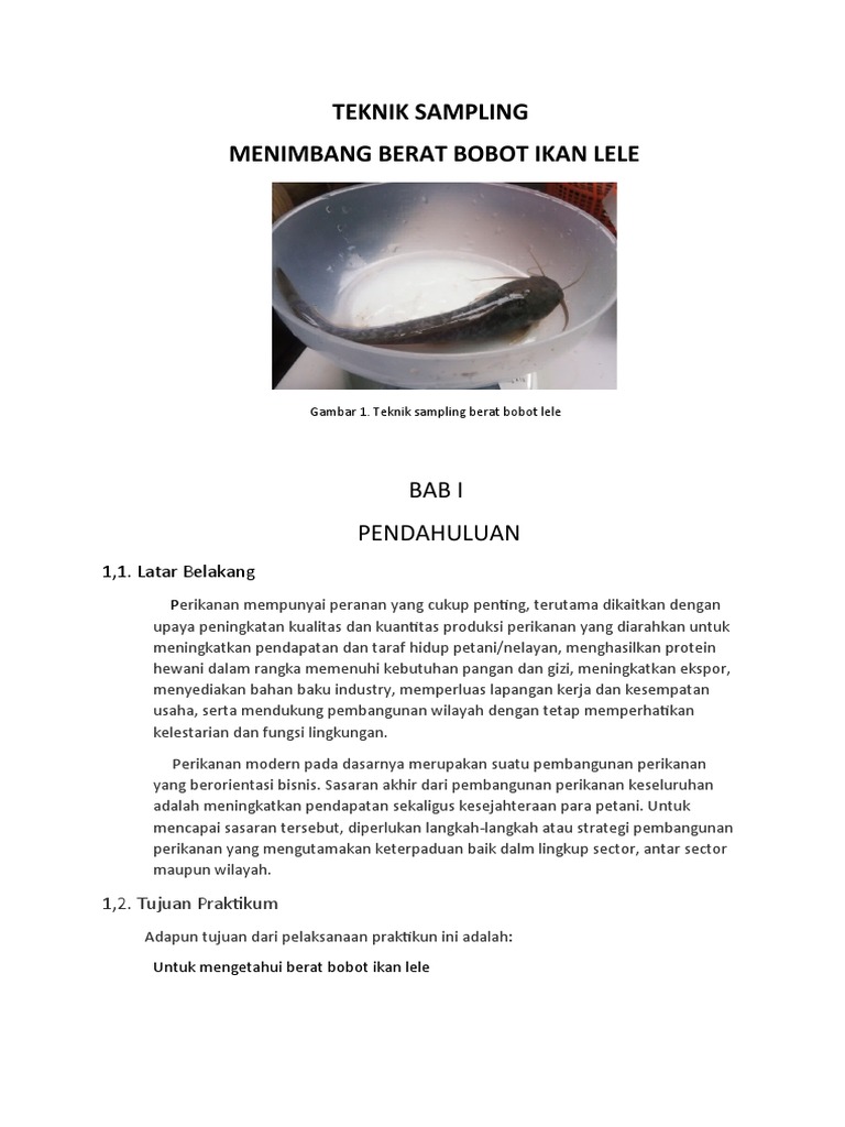 Teknik Sampling Menimbang Berat Bobot Lele Klompok 4 | PDF | Memasak ...