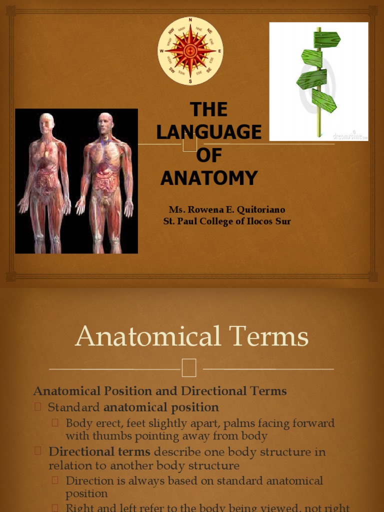 The Language of Anatomy (Autosaved) | Download Free PDF | Anatomical ...