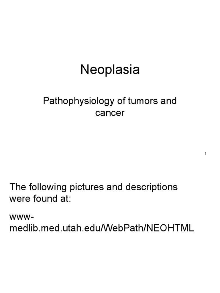 Neoplasia: Pathophysiology of Tumors and Cancer | PDF | Cancer | Neoplasms