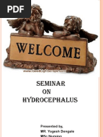 Bdae Boston Diagnostic Aphasia Examination Docs | PDF | Cognitive ...