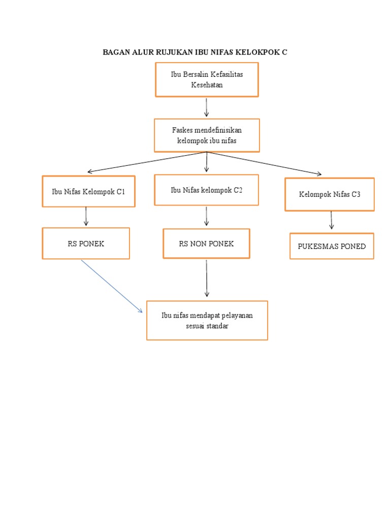 Bagan Alur Rujukan Ibu Nifas Kelokpok C | PDF