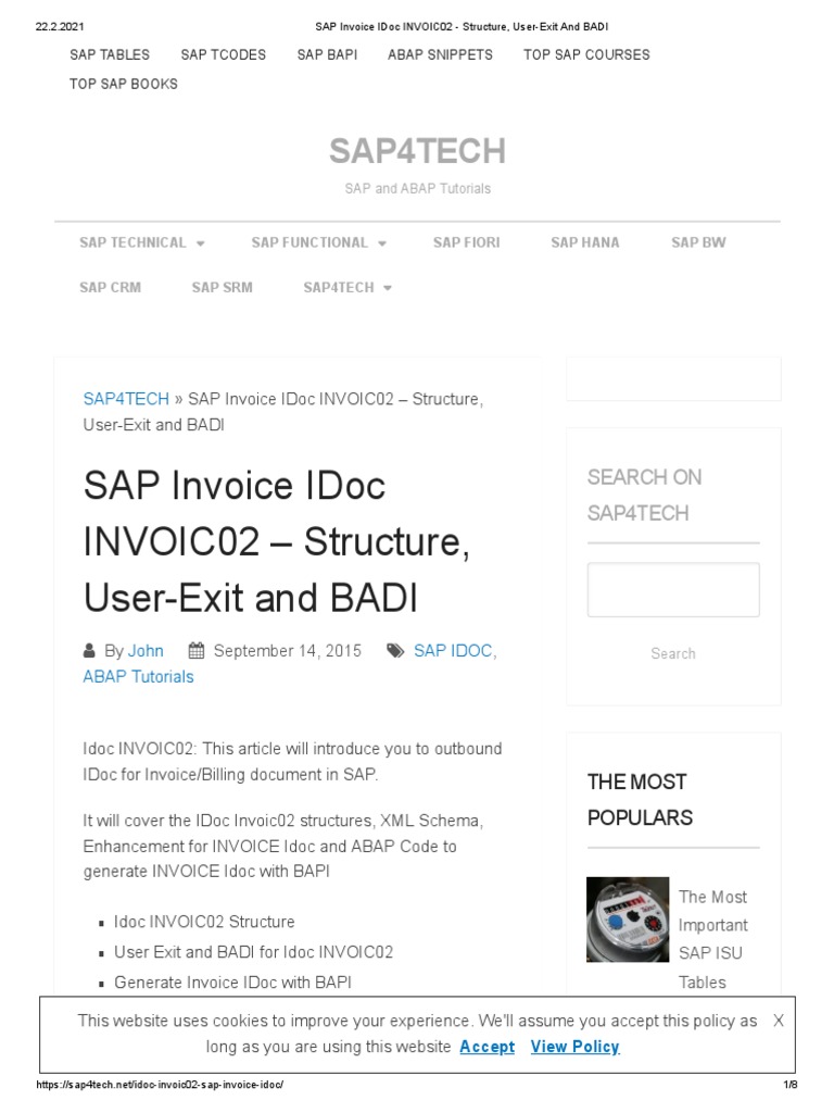SAP Invoice IDoc INVOIC02 - Structure, User-Exit and BADI | PDF