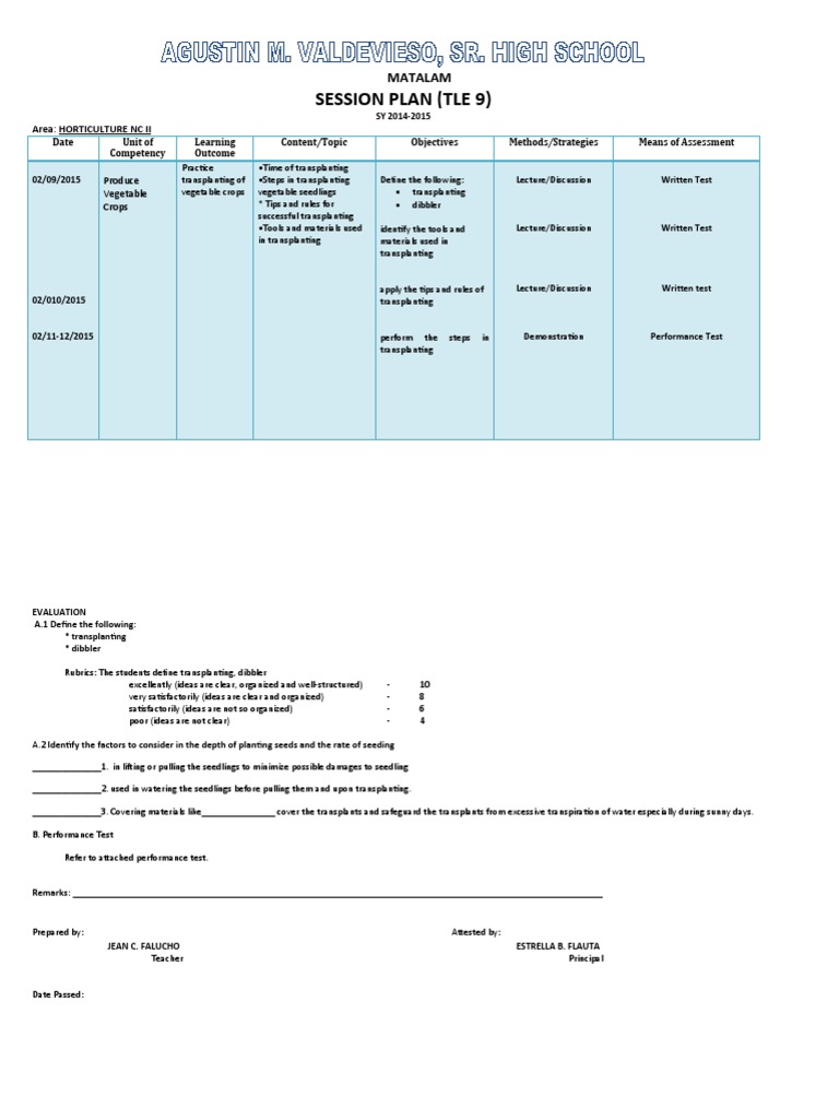 Session Plan (Tle 9) : Matalam | PDF | Educational Psychology | Human ...