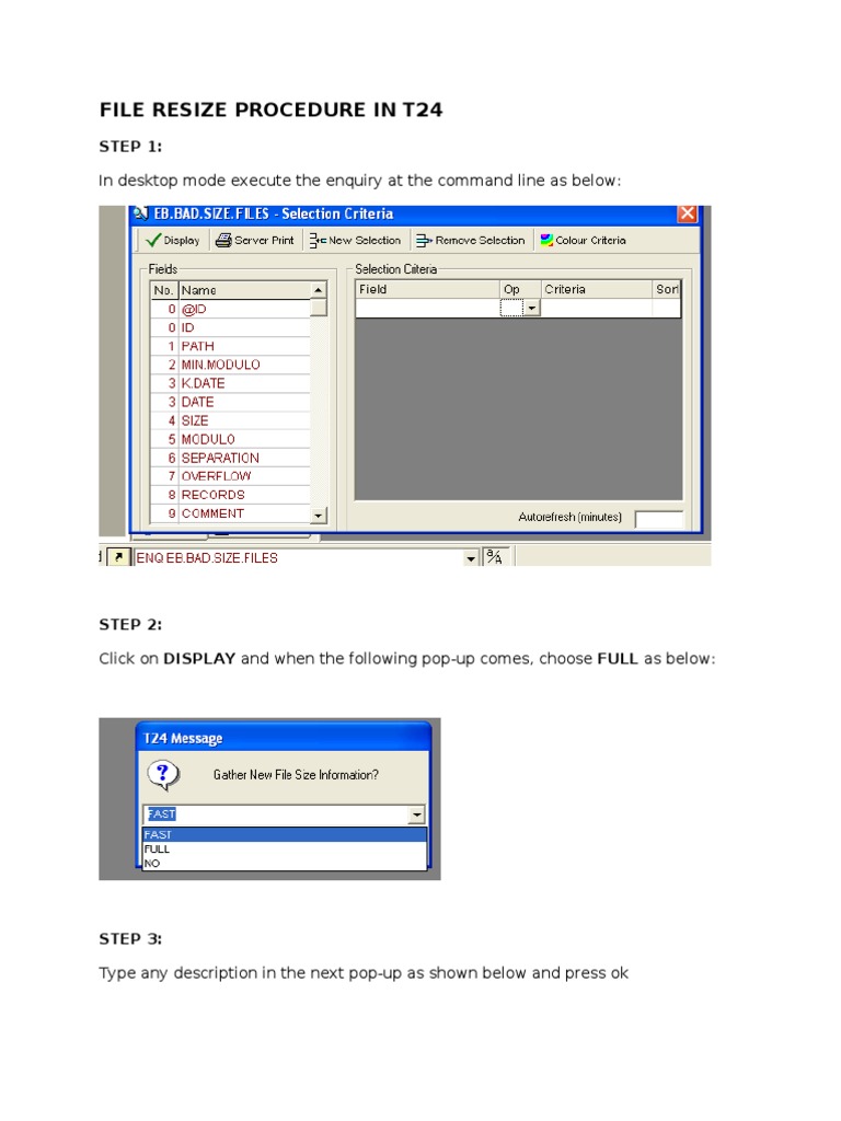 File Resize Procedure in T24 | PDF