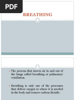 Sample NCP | PDF | Breathing | Respiratory Tract