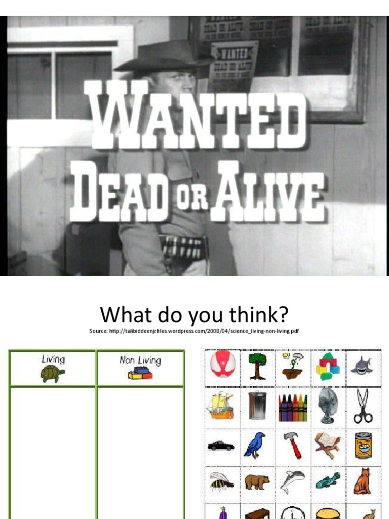 Living or Non Living Powerpoint 2 | PDF