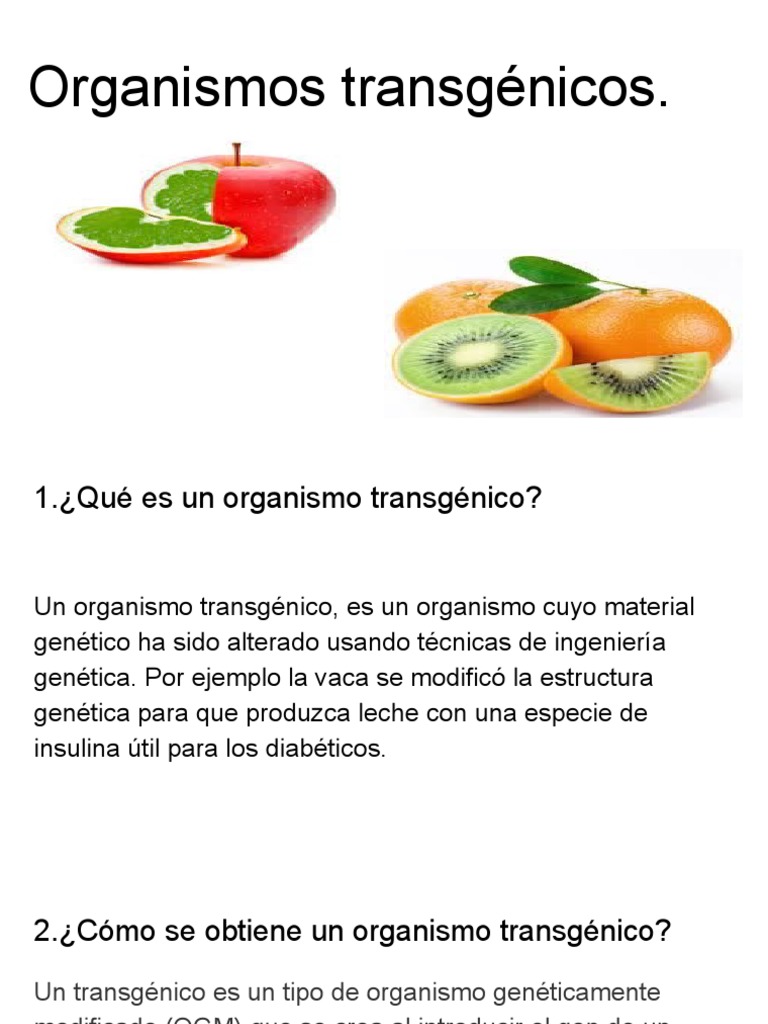 Organismos Transgénicos. | PDF