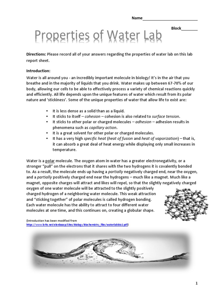 Water Lab - Answer Sheet | PDF | Chemical Polarity | Properties Of Water
