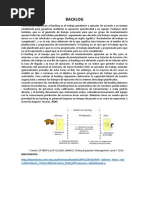 Backlog El Índice Clave para El Manejo de La Carga de Trabajo en ...