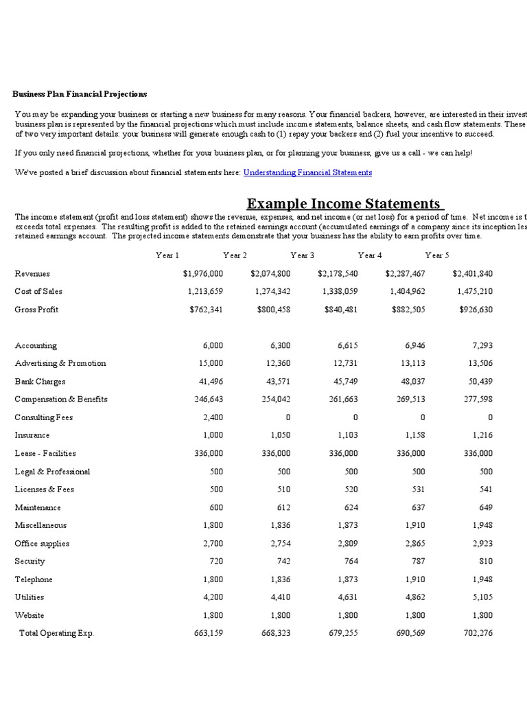 Example Income Statements: Business Plan Financial Projections ...