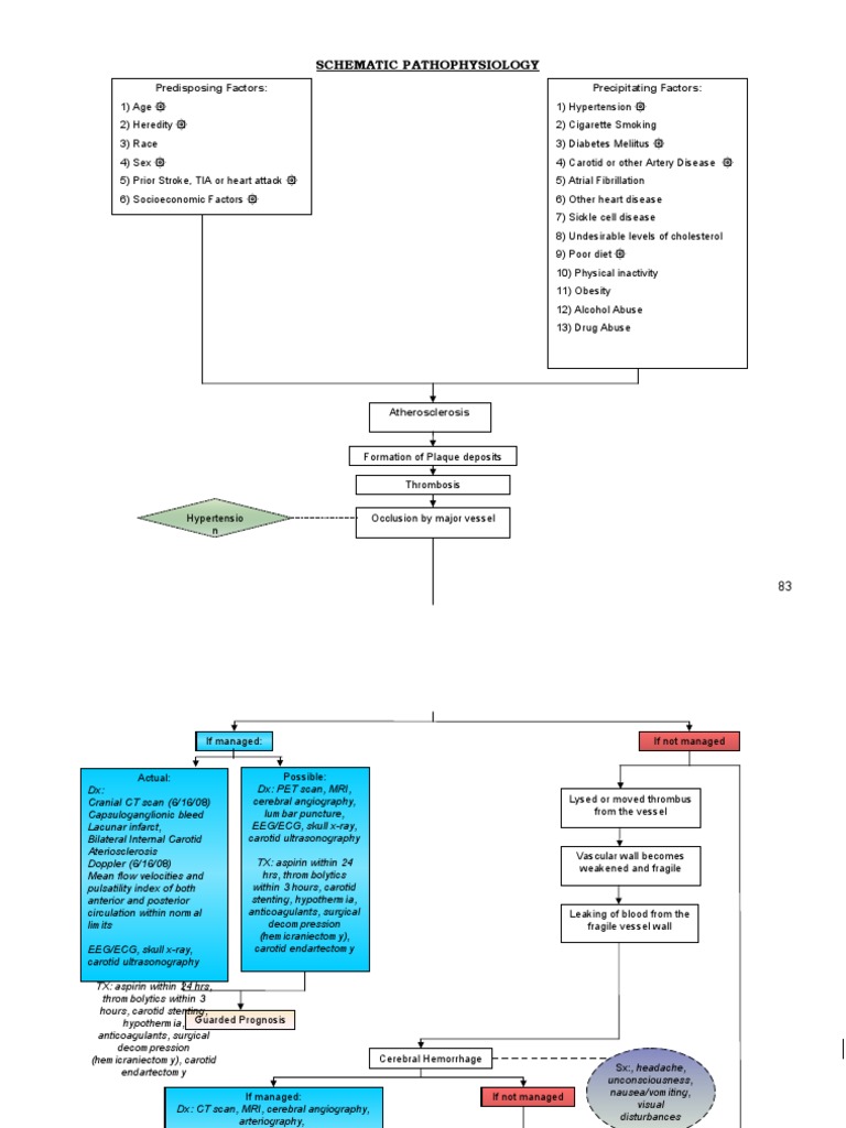 Schematic Pathophysiology CVA | PDF | Stroke | Cardiovascular System
