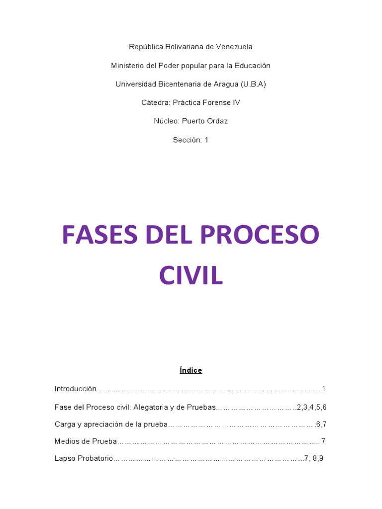 Fases Del Proceso Civil | PDF | Procedimiento Civil | Demanda judicial