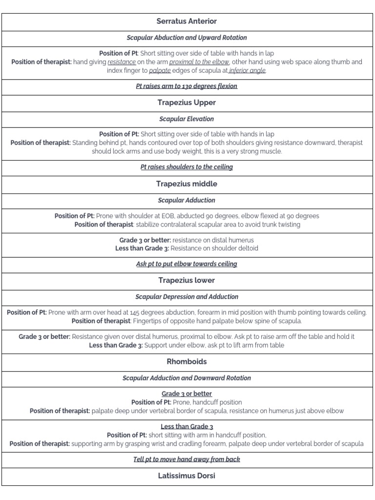 Scapular and Shoulder Muscle Testing Guide | PDF | Thumb | Anatomical ...