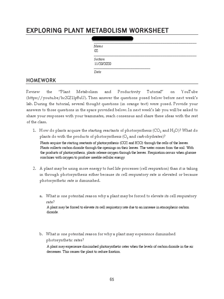 Lab 7 - PP 65-66 | PDF | Photosynthesis | Cellular Respiration