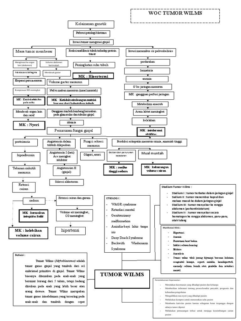 Woc Tumor Wilms | PDF