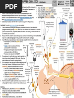 Sengstaken-Blakemore Tube Technique | PDF | Clinical Medicine | Medical ...