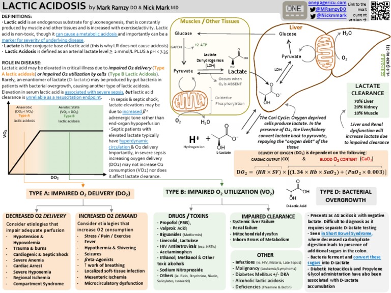 Understanding Lactic Acidosis: Causes, Types, and Role in Disease | PDF ...