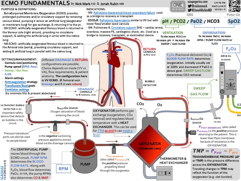ECMO Overview and Management Guide | PDF | Circulatory System ...