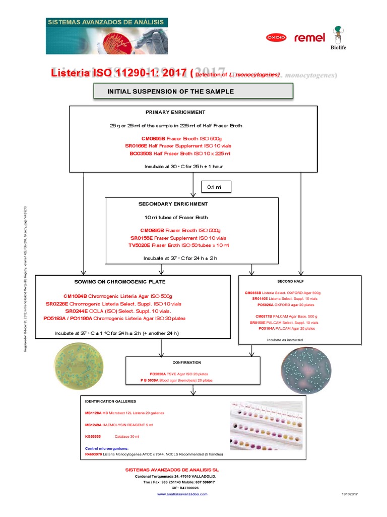 Listeria ISO 11290-1 - 2017.es - en | PDF | Microbiology | Biology