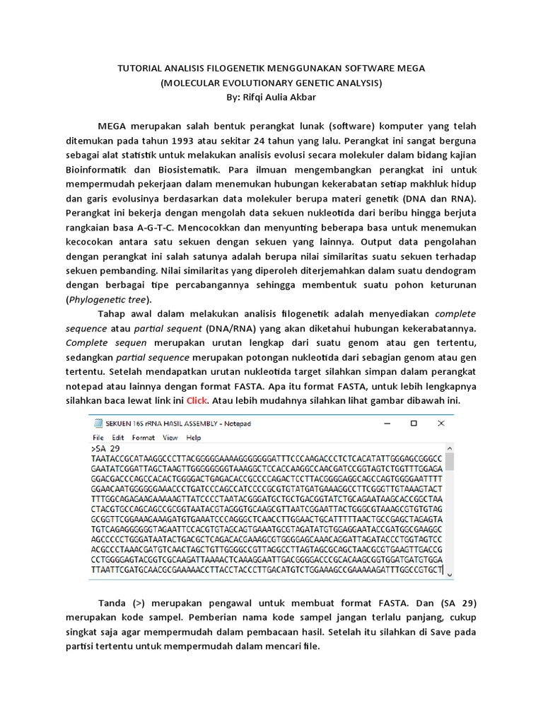 Tutorial Analisis Filogenetik Menggunakan Software Mega | PDF