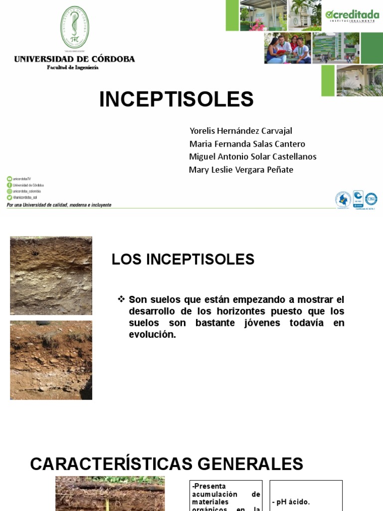 Inceptisol | PDF